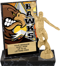 Hawks Mascot Billboard Plaque [PBB6-MSCT-HWK] – Trophy Depot