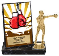 Boxing Billboard Plaque [PBB6-BX] – Trophy Depot