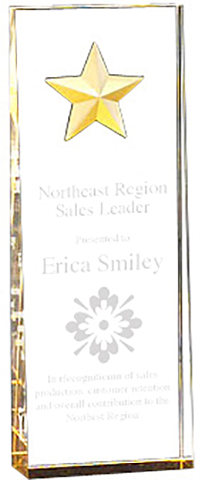 Acrylic Rectangle with Etched Star [A595] – Trophy Depot